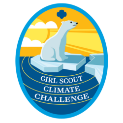Patch Programs | Girl Scouts - Diamonds