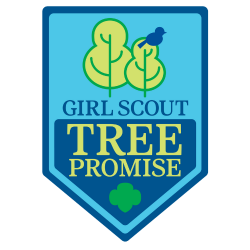 Patch Programs | Girl Scouts - Diamonds